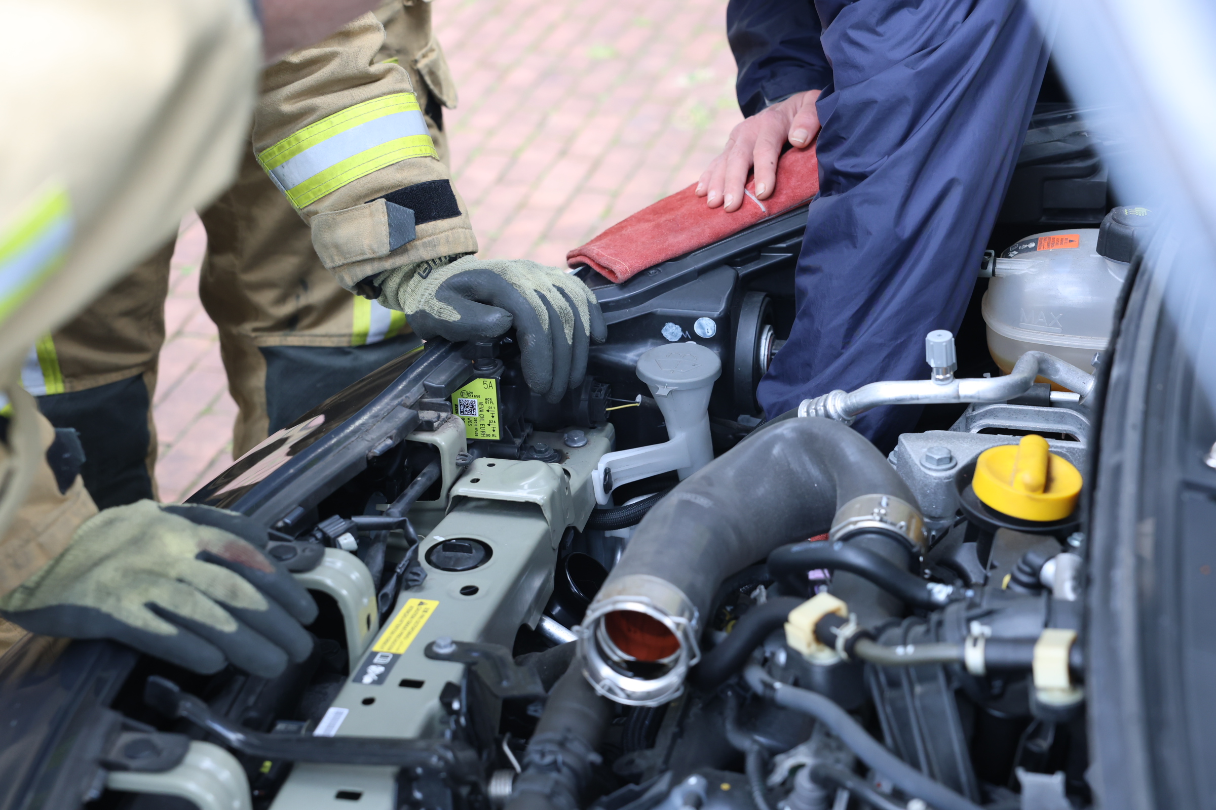 Bizar: kat vast onder motorkap auto – Dossier Mastenbroek