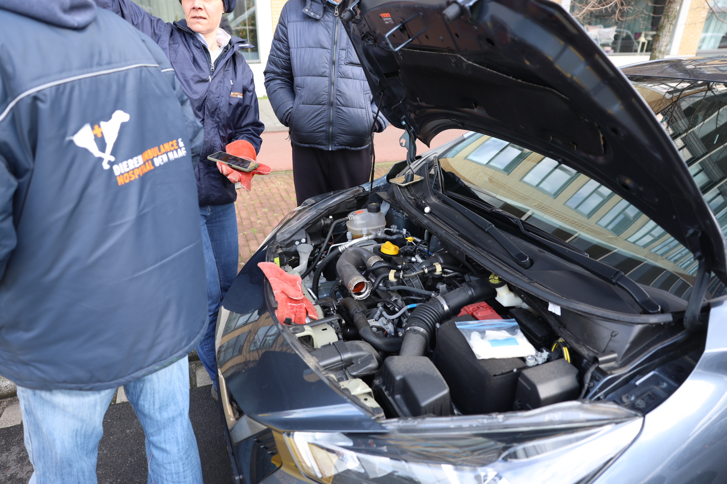 Bizar: kat vast onder motorkap auto – Dossier Mastenbroek